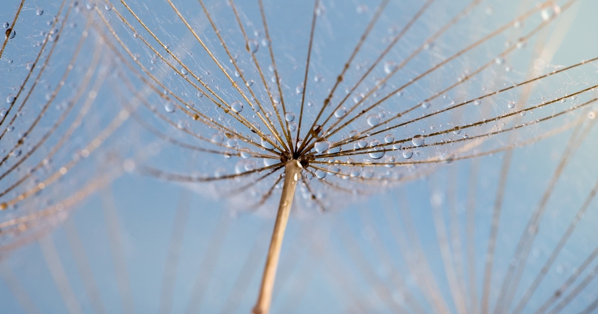 Vad är daggpunkt? | Viessmann SE